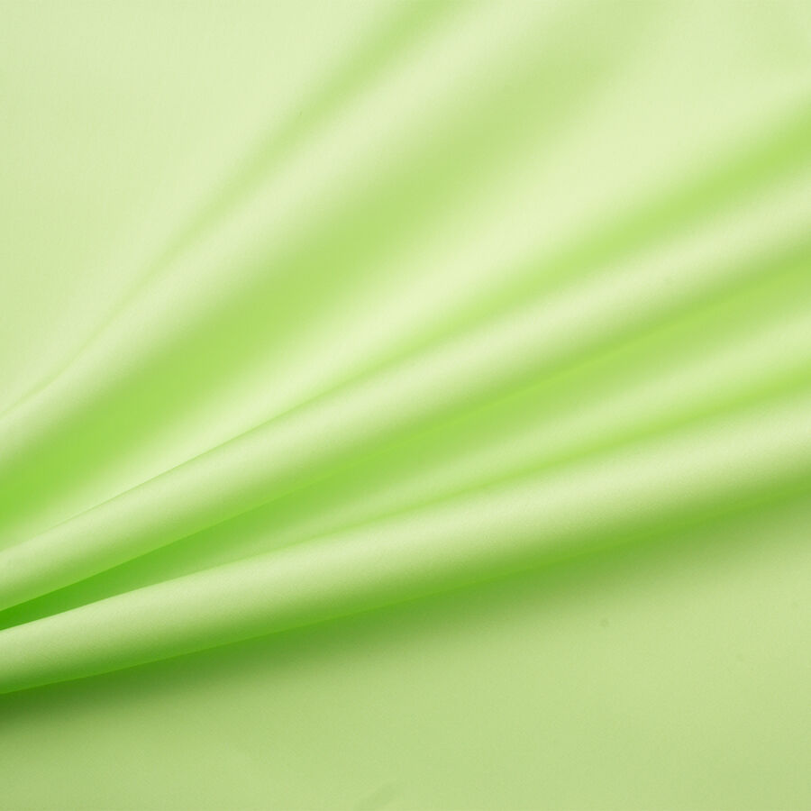 Light Green Satinised Silk Organza | Sheer Fabric